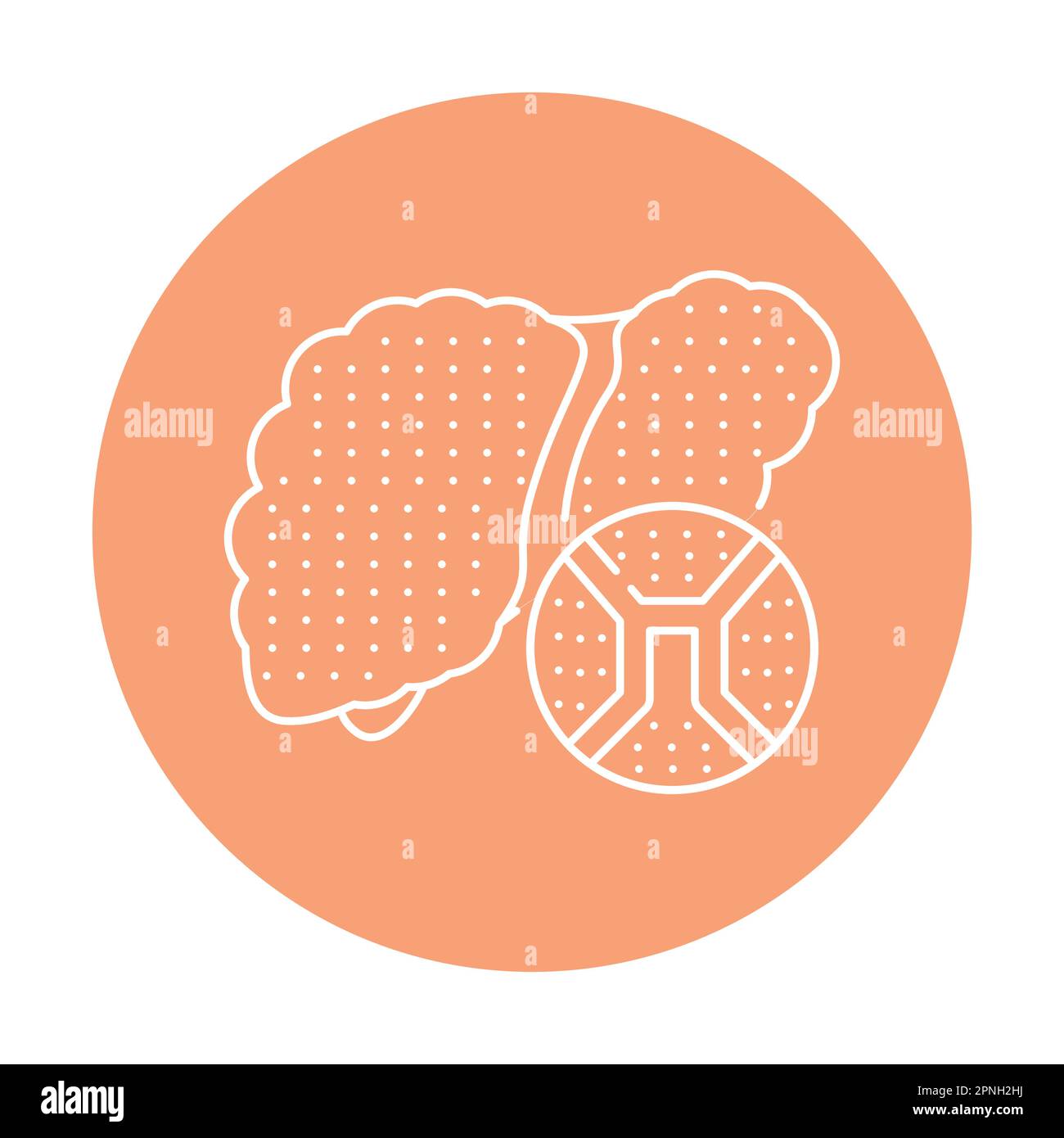 Liver cirrhosis color line icon. Human diseases. Pictogram for web page ...