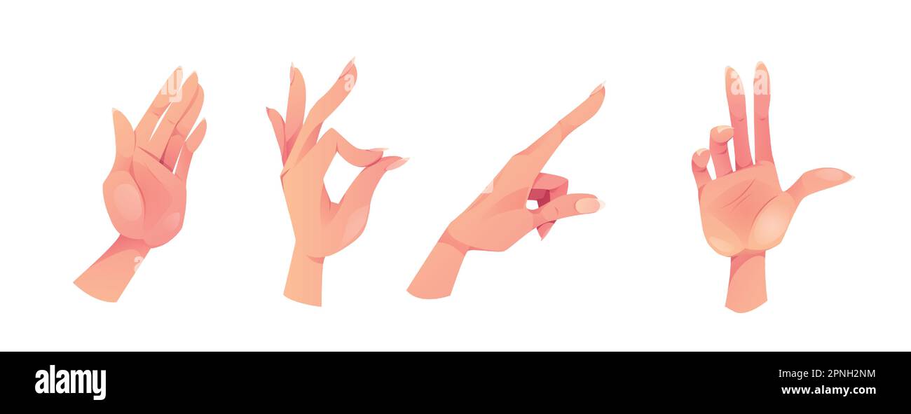 Vector hand gesture set. Isolated female palm, touch, ok and waving arm sign cartoon ...