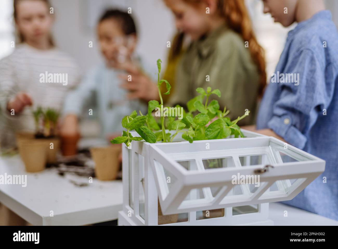 Happy children learning how to take care about plants Stock Photo - Alamy