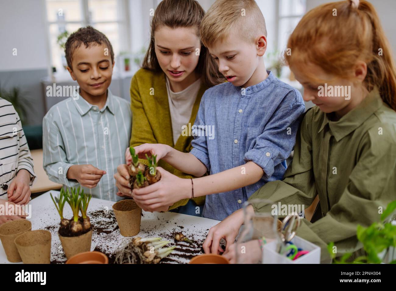 Young teacher learning pupils how to take care about plants Stock Photo ...