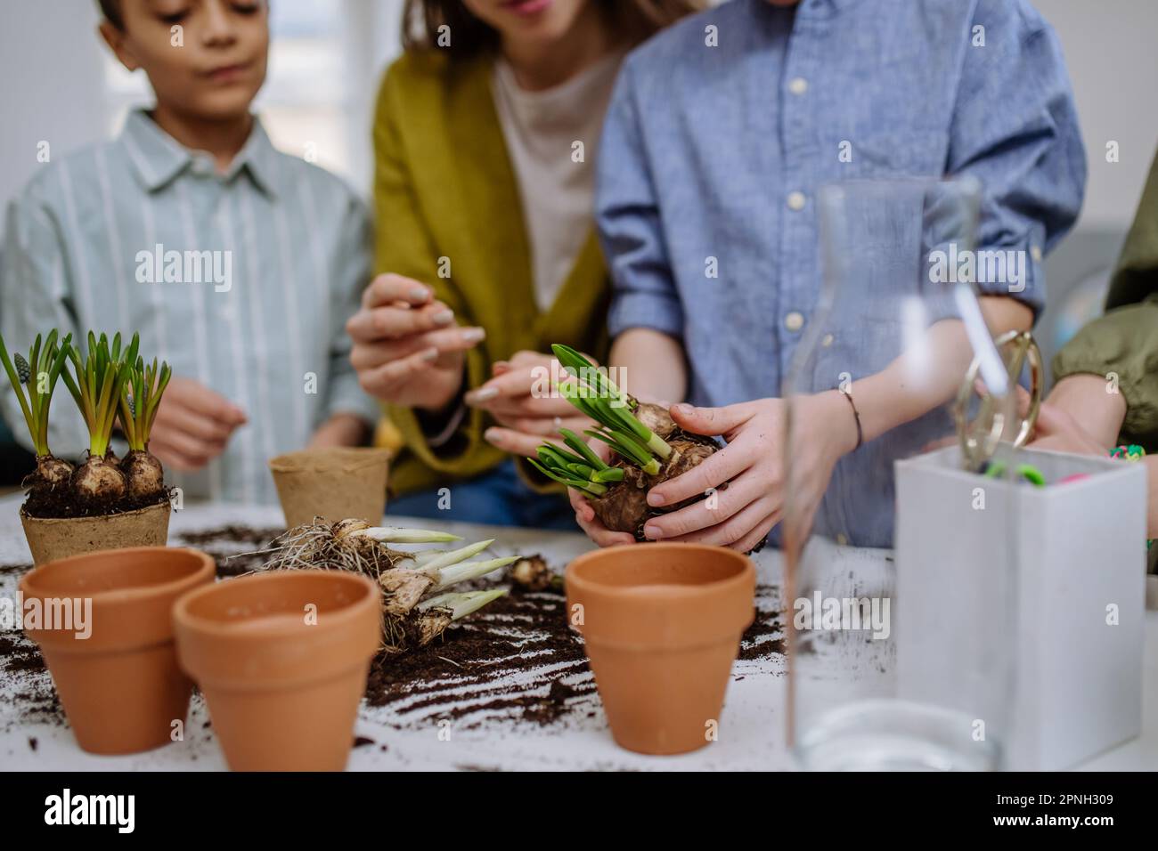 Young teacher learning pupils how to take care about plants Stock Photo ...