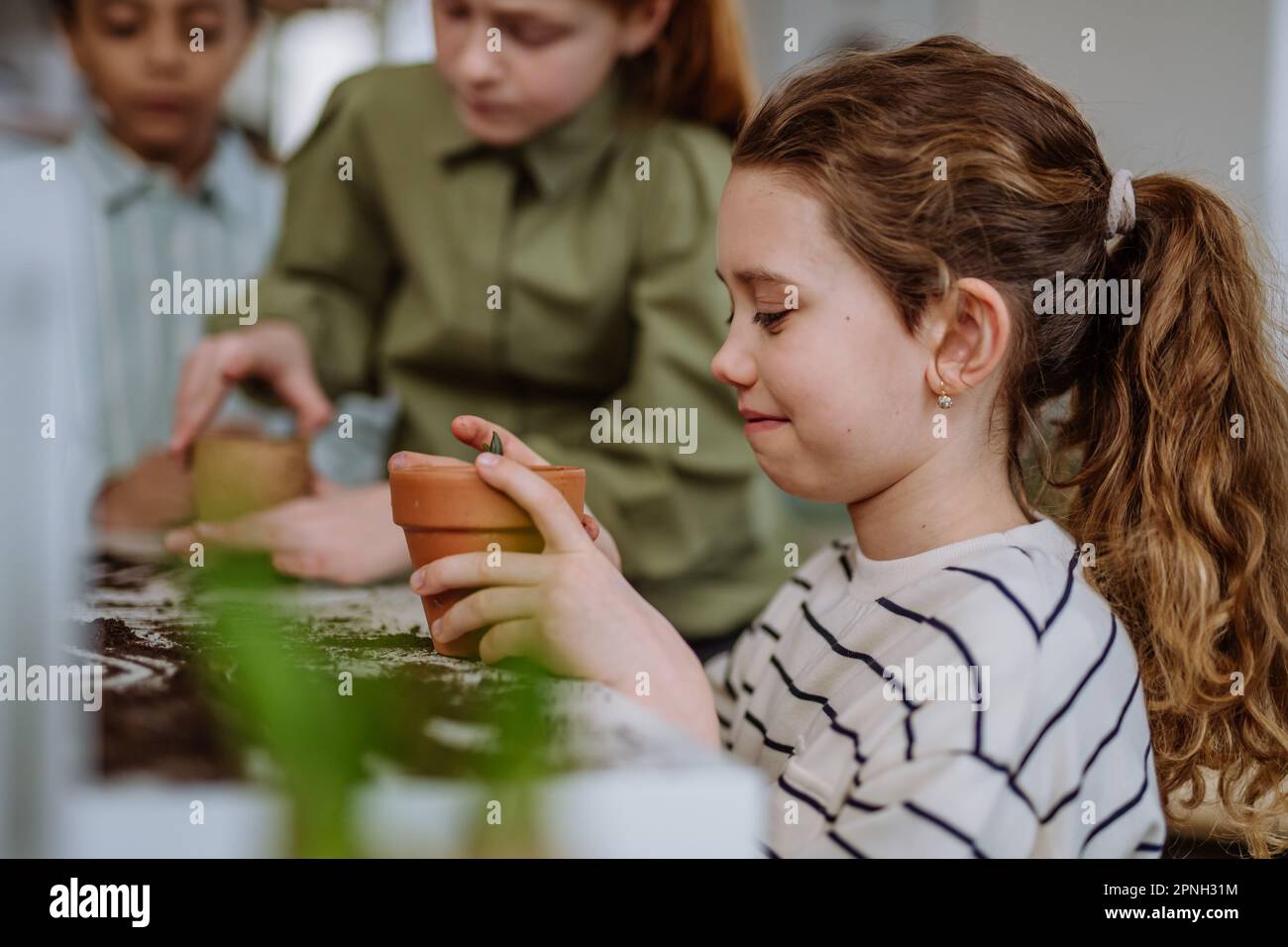 Happy children learning how to take care about plants Stock Photo - Alamy