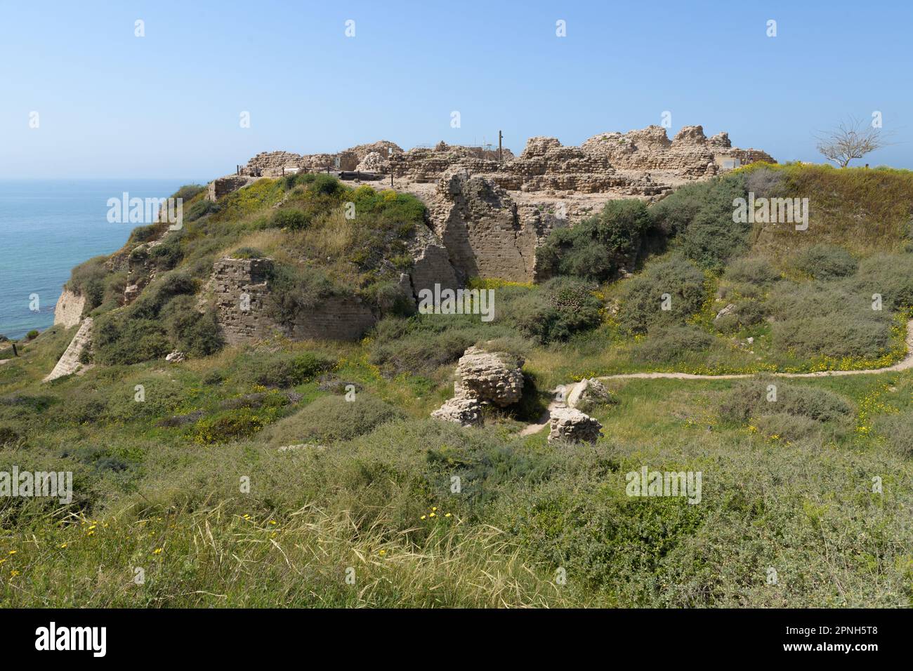 Remains of the Crusader castle in the ancient town of Apollonia (Tel ...