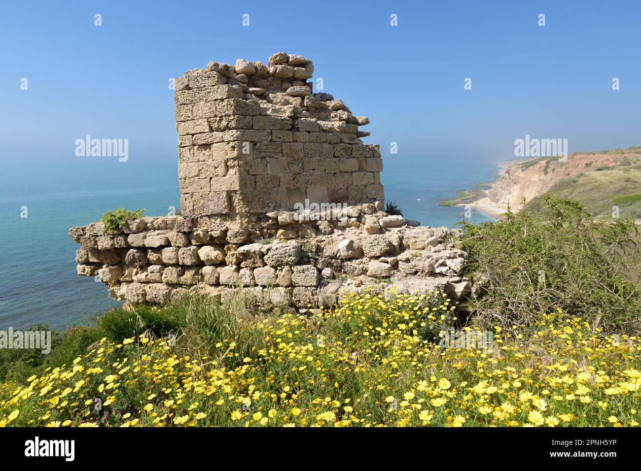 Remains of the Crusader castle in the ancient town of Apollonia (Tel ...