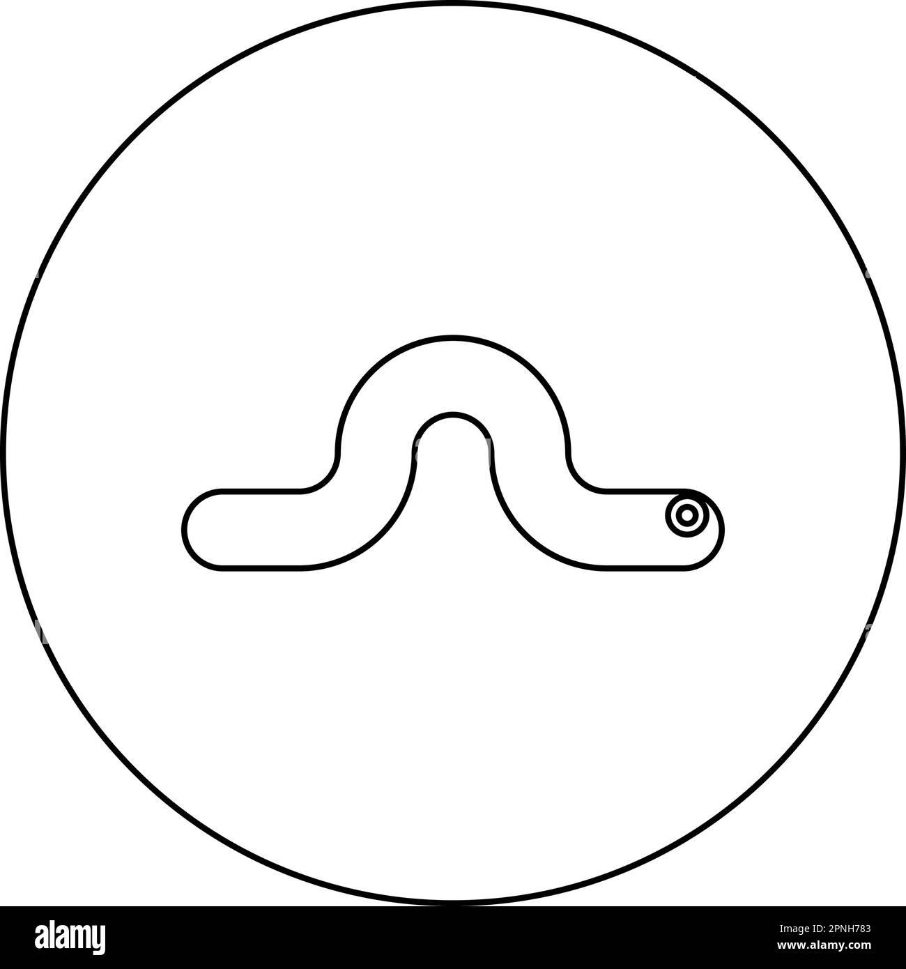 Worm earth earthworm rainworm caterpillar angleworm annelida ...