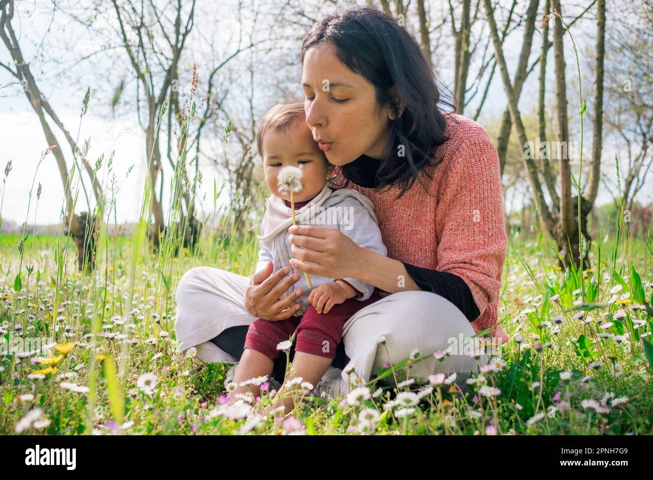 mother and baby daughter picking up flowers and daisies in meadows ...