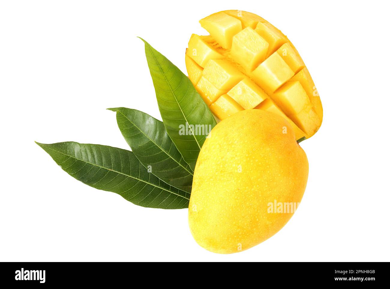 Mango leaf slice on hi-res stock photography and images - Alamy