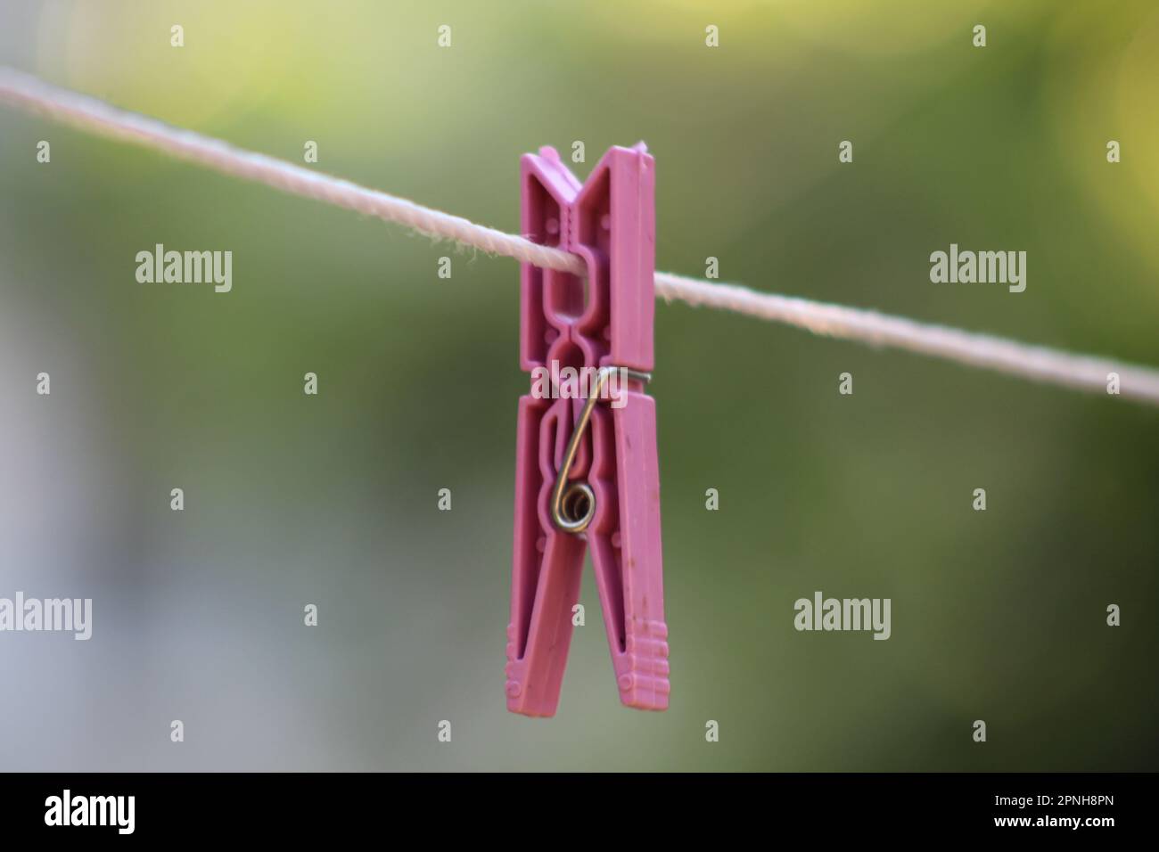 Pink clothes peg on white clothesline Stock Photo - Alamy
