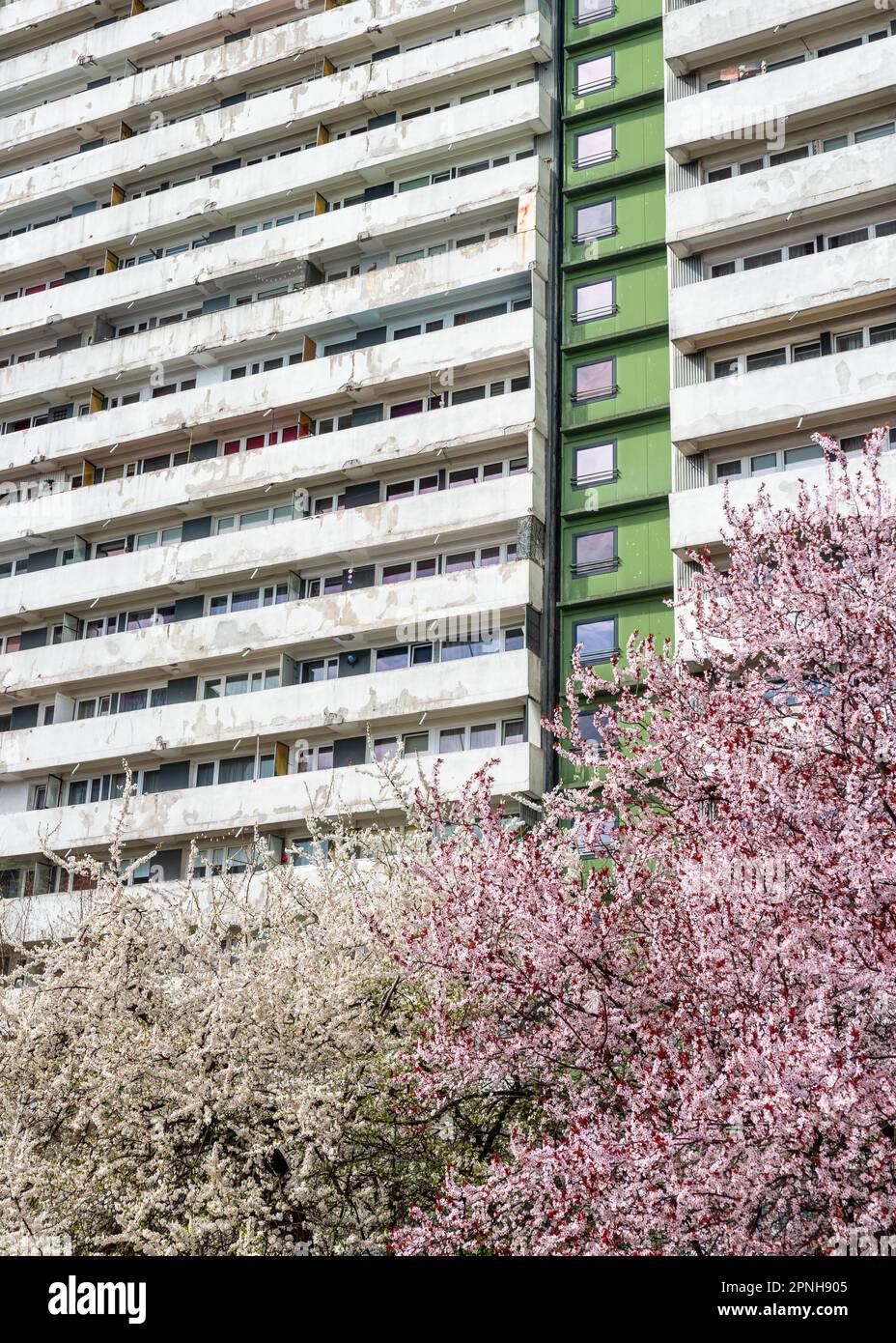 Pink apartment building hi-res stock photography and images - Alamy