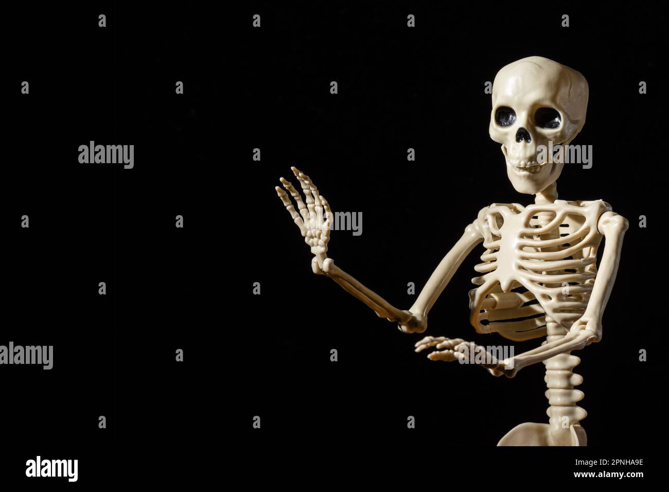 Human Skeleton waving greeting hand isolated on black background. Life ...