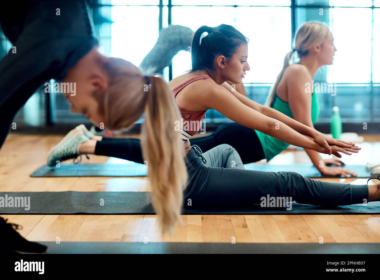 Making sure theyre loose and limber. a group of attractive young women ...