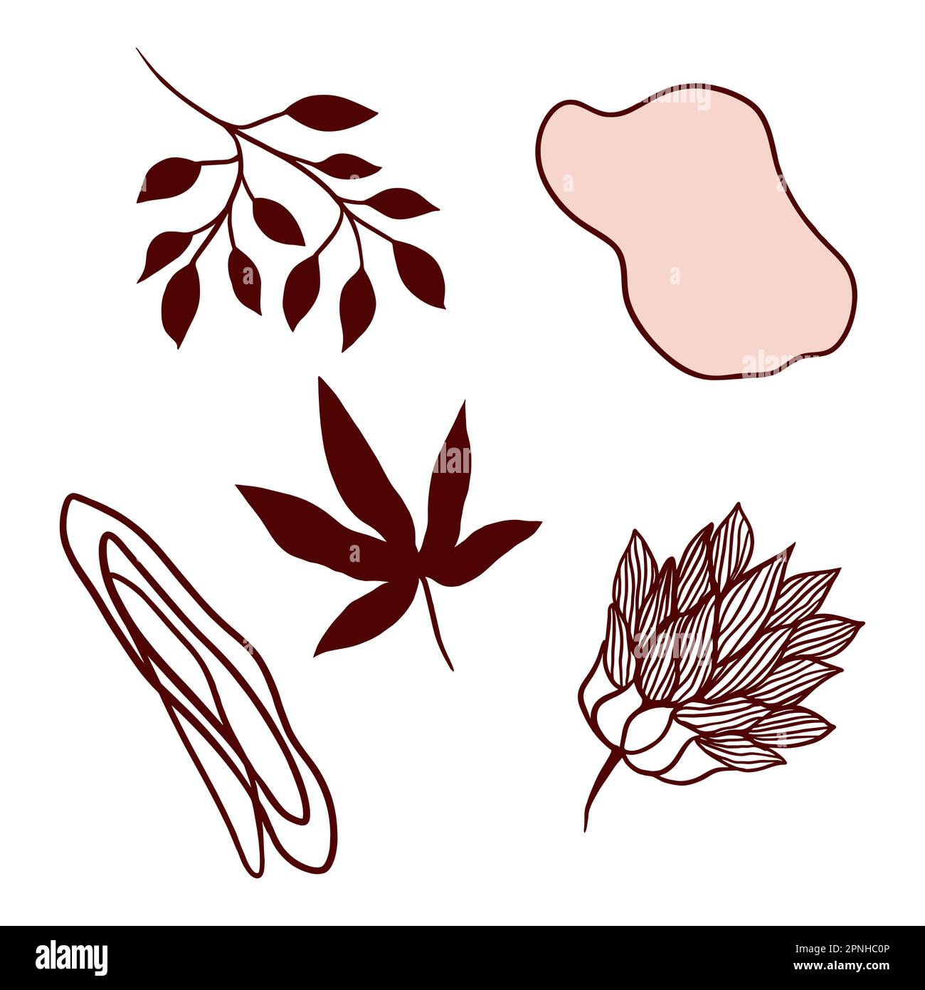 Plant design elements. Botanical banner with geometric shapes, lines ...