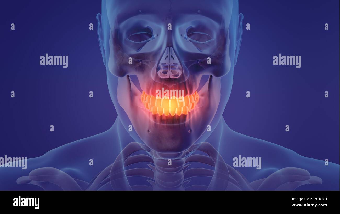 Dental animation hi-res stock photography and images - Alamy