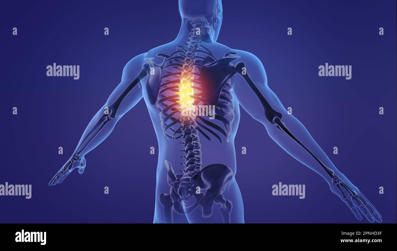 Health animation hi-res stock photography and images - Alamy