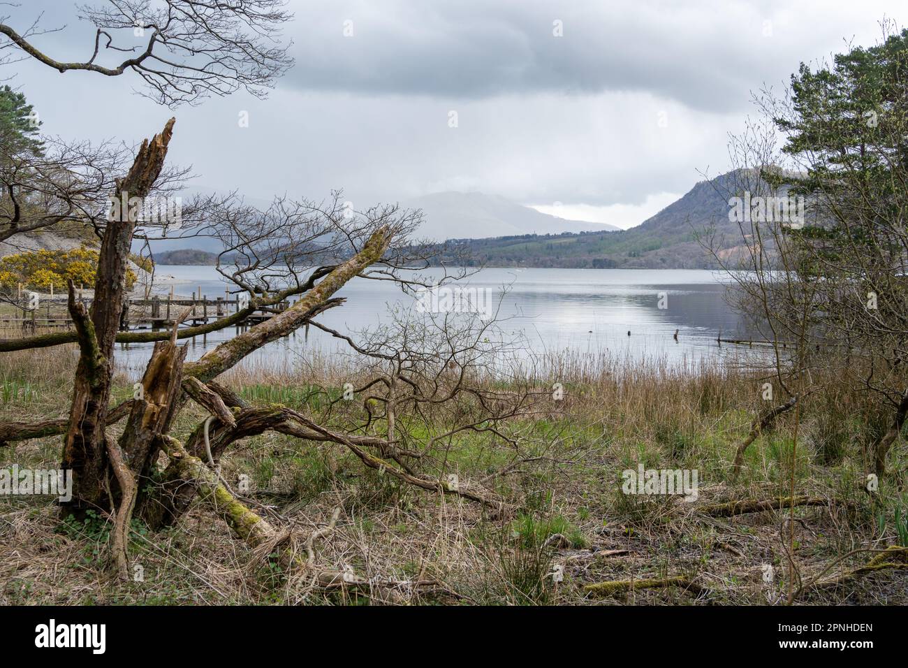 Scenic view over Derwentwater lake from near Manesty Park, Keswick, The ...
