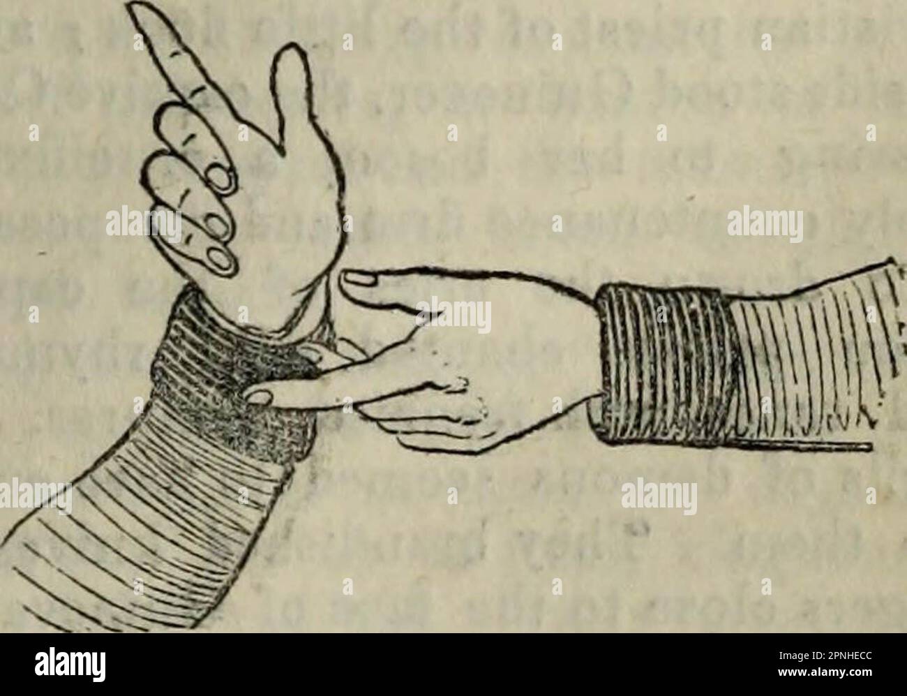 "The Family tutor" (1851 Stock Photo - Alamy