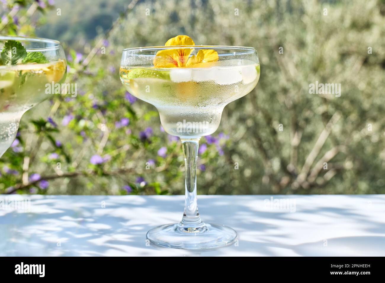 Iced lemonade with edible nasturtium flowers, lime and mint leaves ...