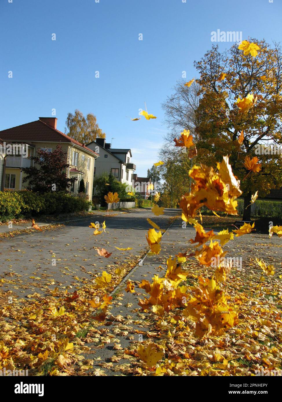 Landscape from trees hi-res stock photography and images - Alamy
