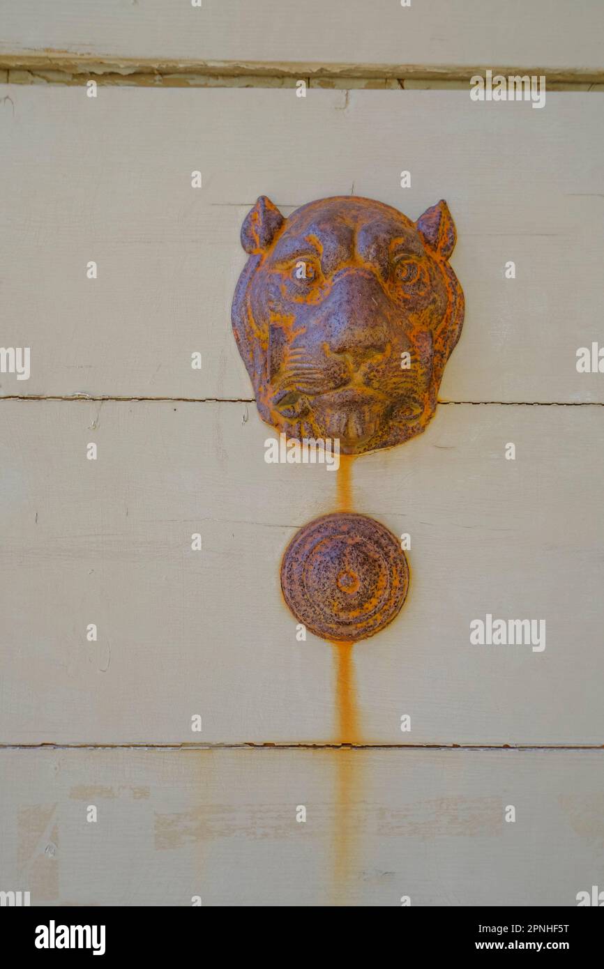 vintage iron rusty lion's head sculpture decor on the wooden door ...