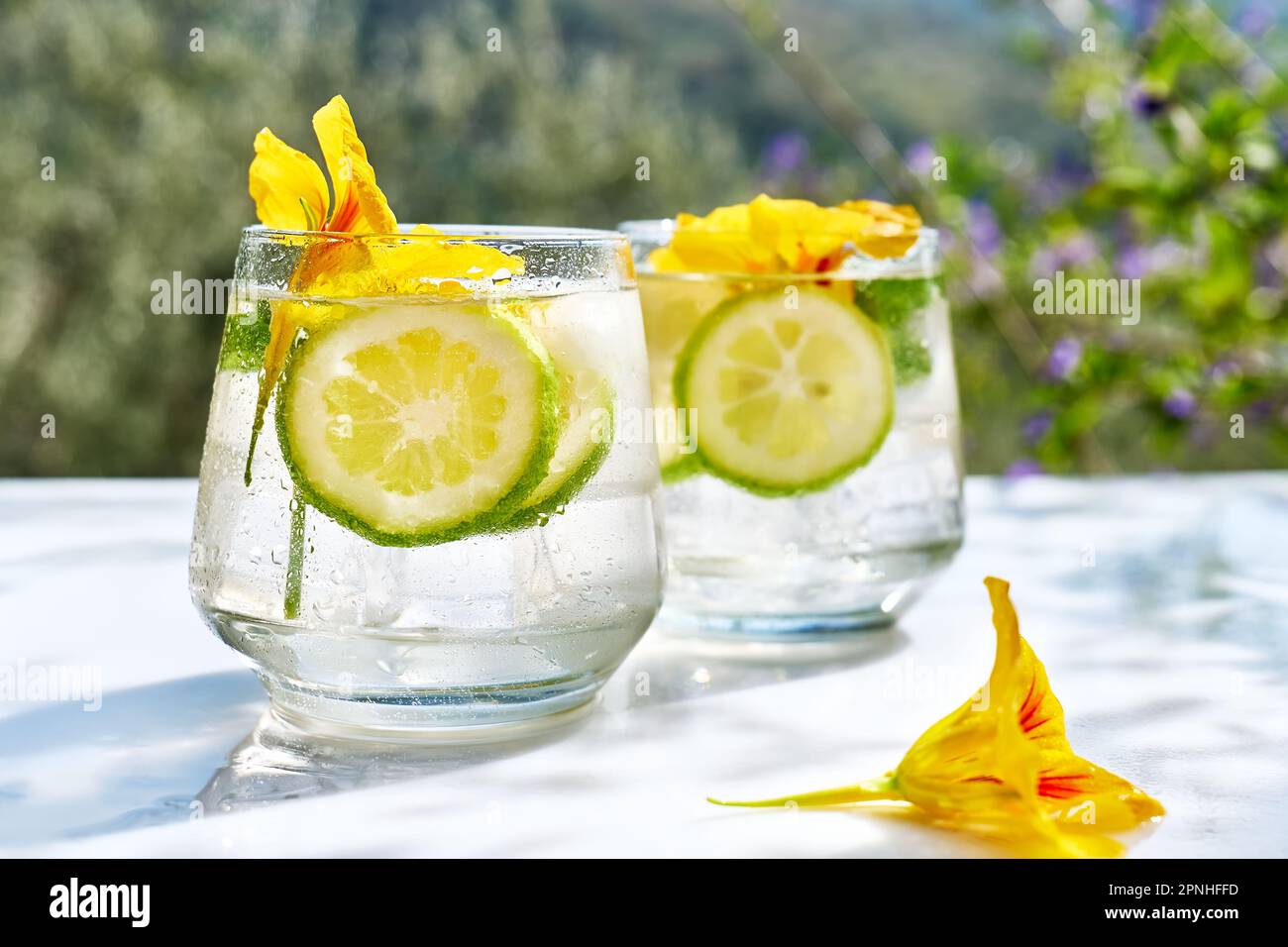 Iced lemonade with edible nasturtium flowers, lime and mint leaves ...