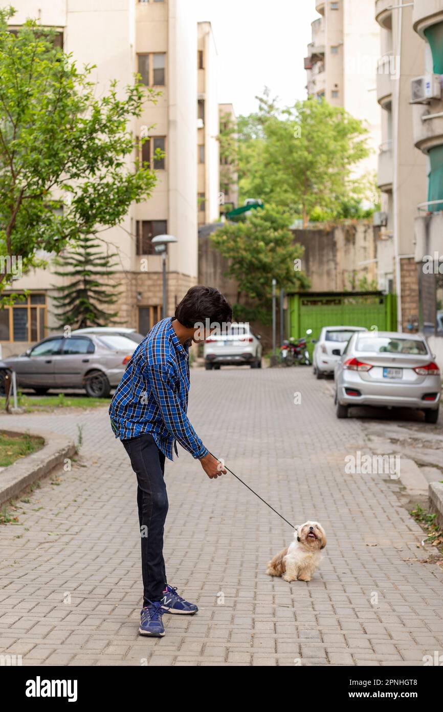 Shih Tzu dog sitting on the steps in the town. a dog in the city. Dog ...