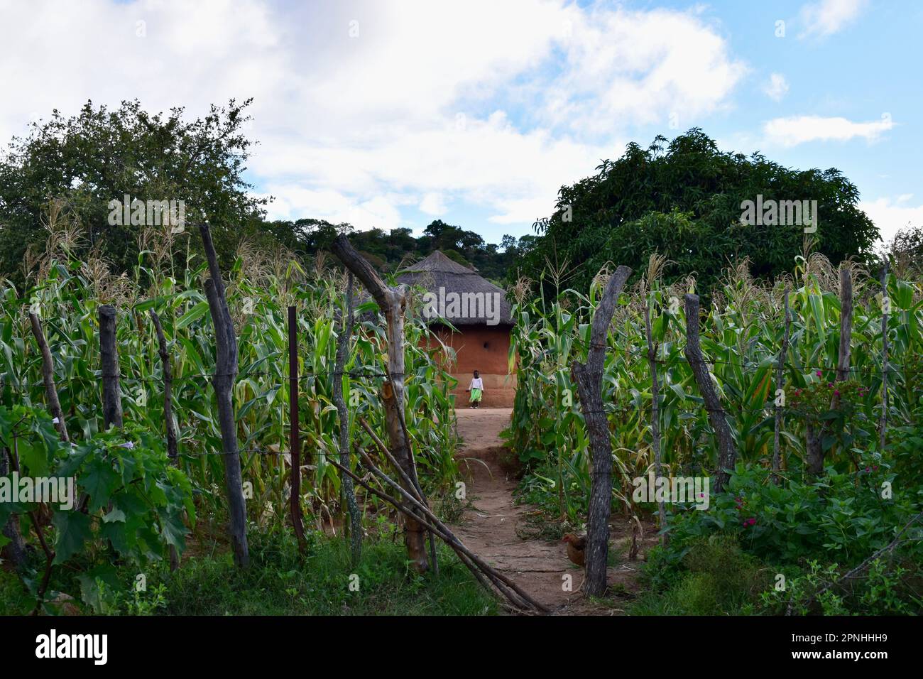 Zimbabwe traditional hut hi-res stock photography and images - Alamy
