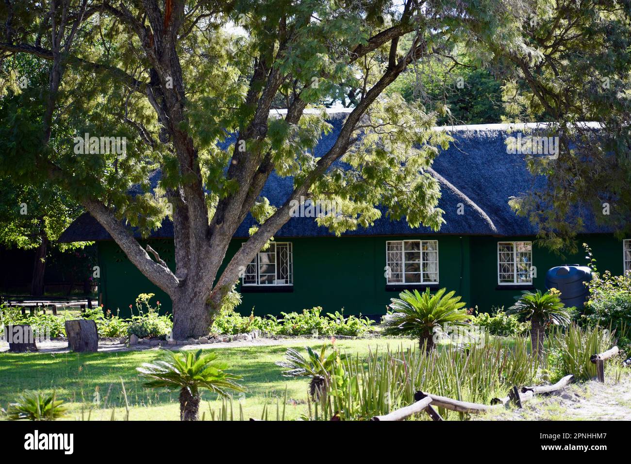 Green thatched african huts Stock Photo - Alamy