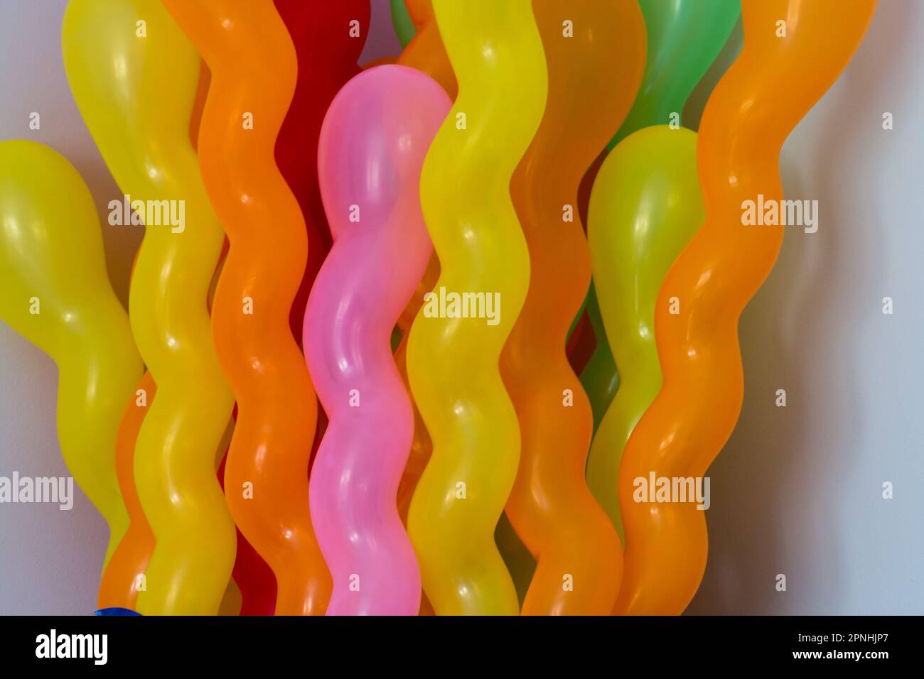 A bunch of colorful oblong balloons, close-up on a light background ...