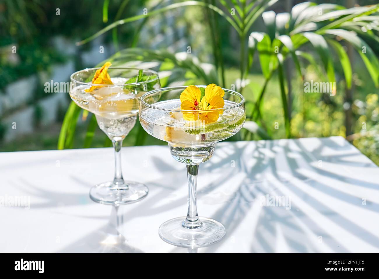 Iced lemonade with edible nasturtium flowers, lime and mint leaves ...