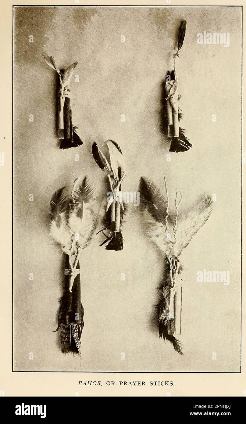 Pahos, or Prayer Sticks from the book ' New Mexico, the land of the ...