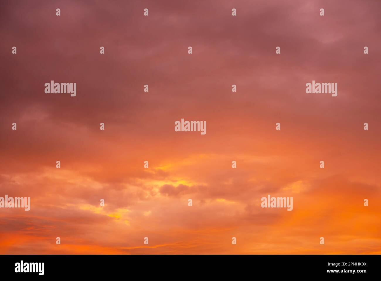 Abstract and pattern of cloud sky Calming coral, Orange, Trend color of ...