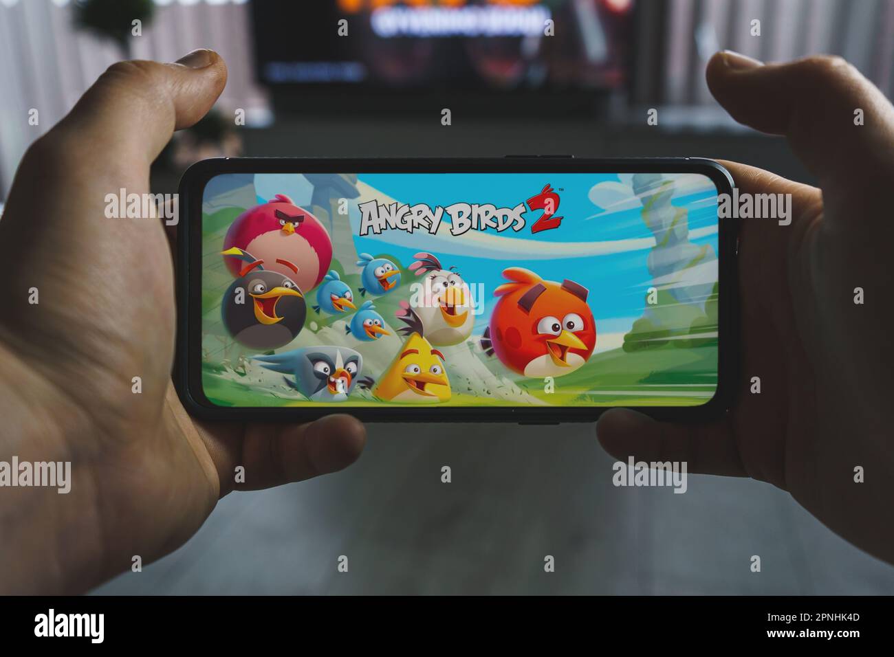 Playing Angry Birds mobile game. Point of view angry birds on ...