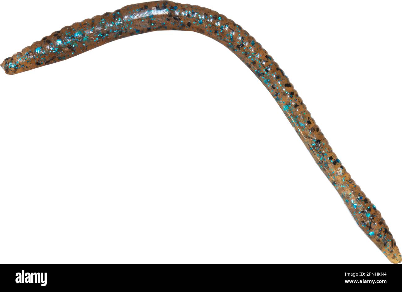 Transluscent brown artificial fishing worm with blue and black shiny ...