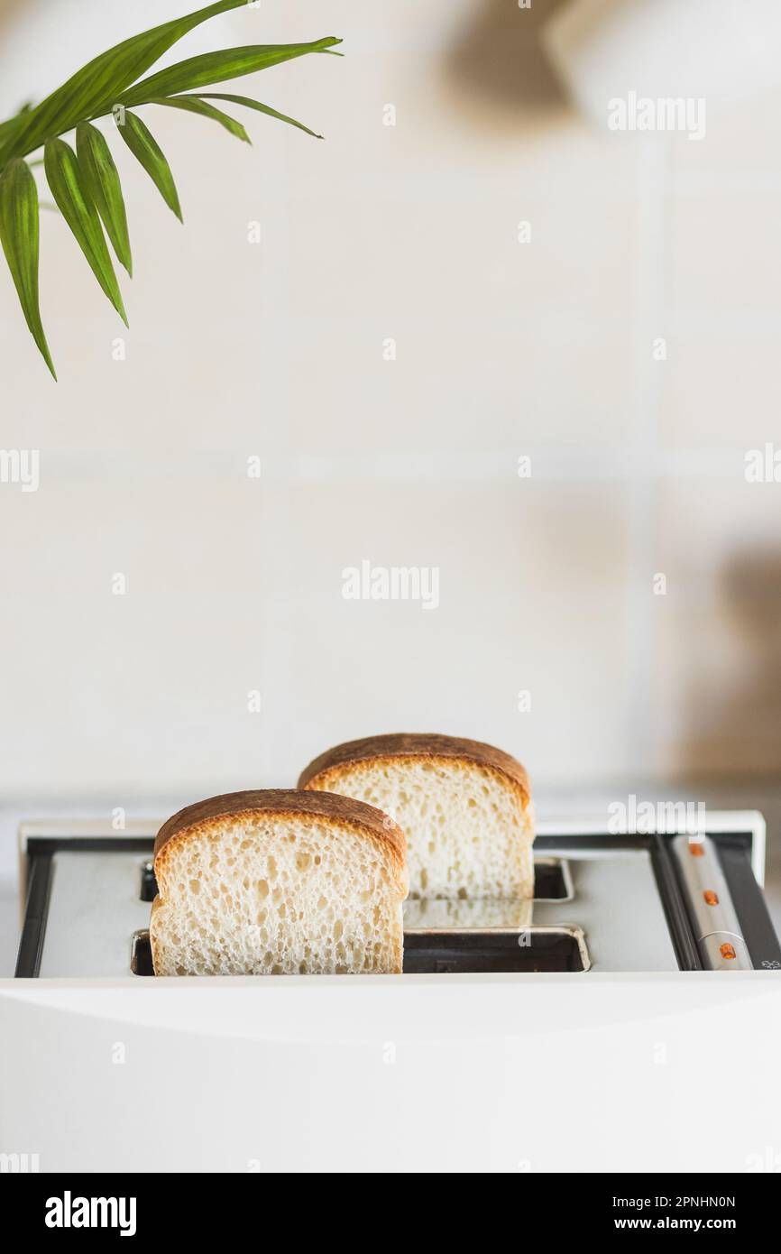 White toaster with white bread in a bright kitchen, high key, vertical ...