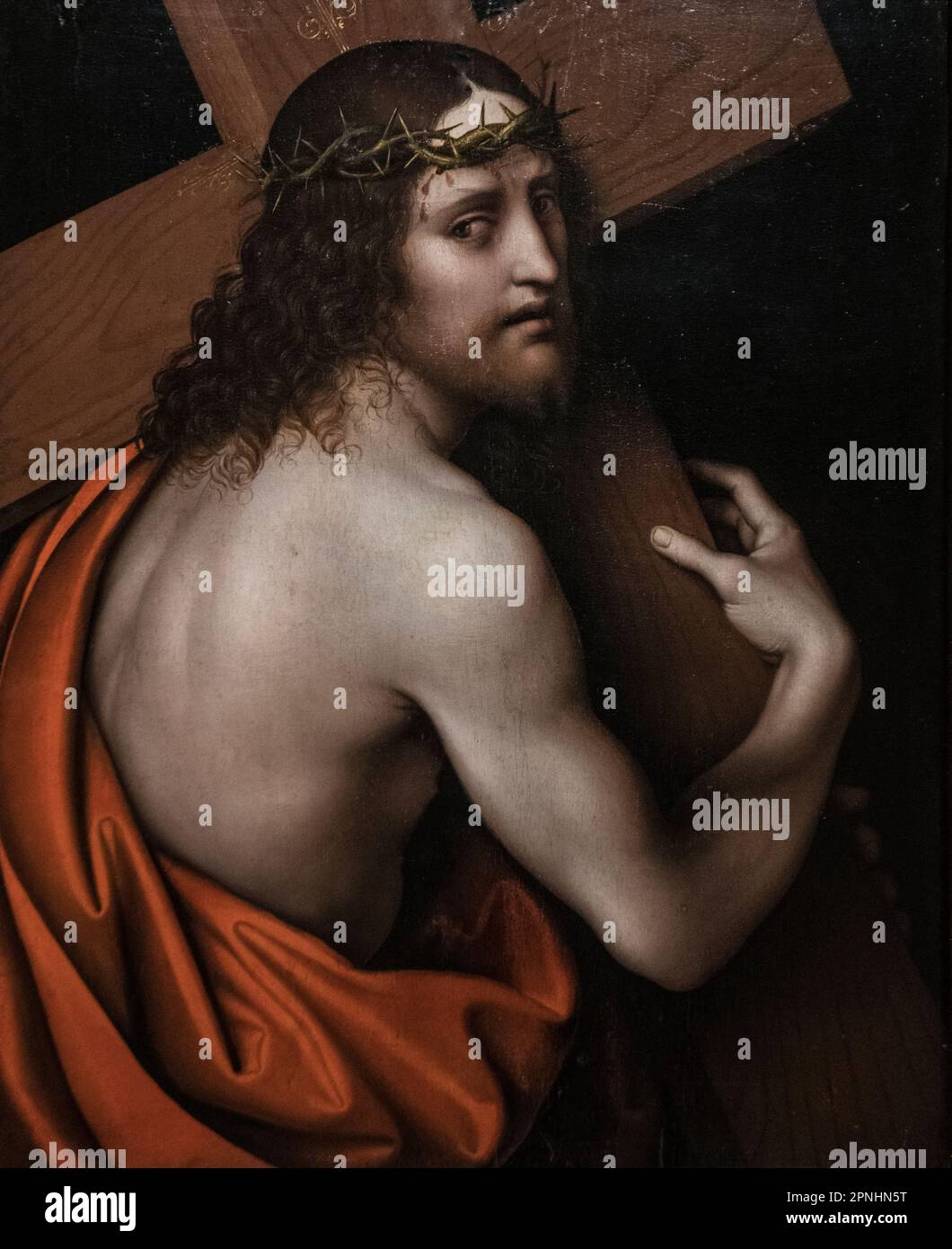 Giampietrino: "Christ Carrying the Cross" (1520 Stock Photo - Alamy