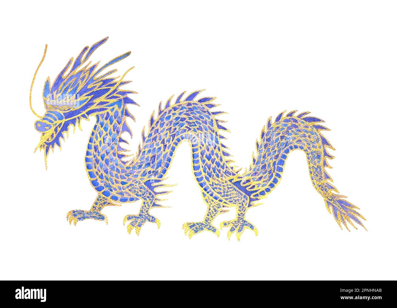 Watercolor chinese sea dragon isolated on white background. Watercolour ...