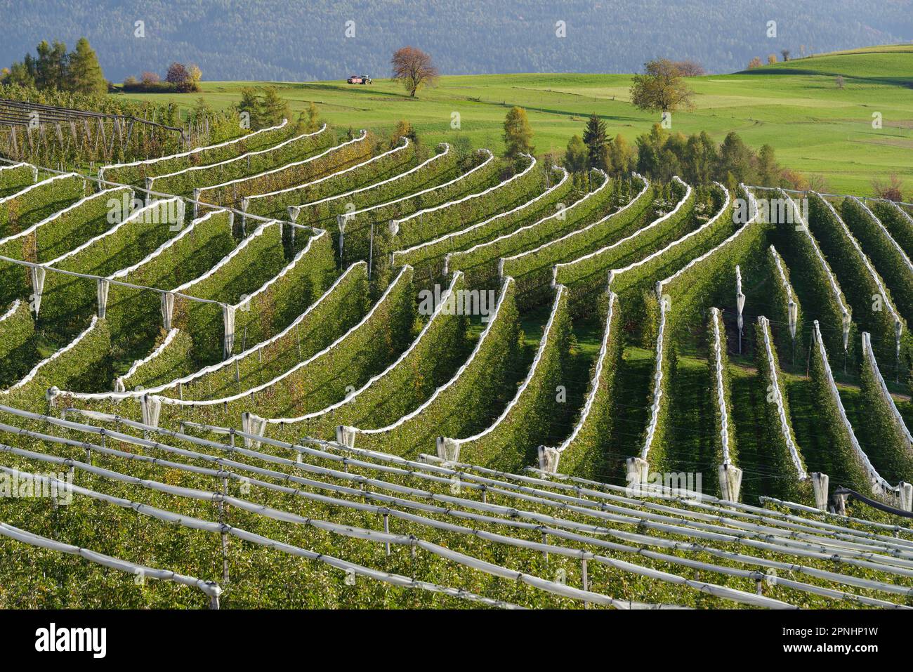 Val di non valley hi-res stock photography and images - Alamy