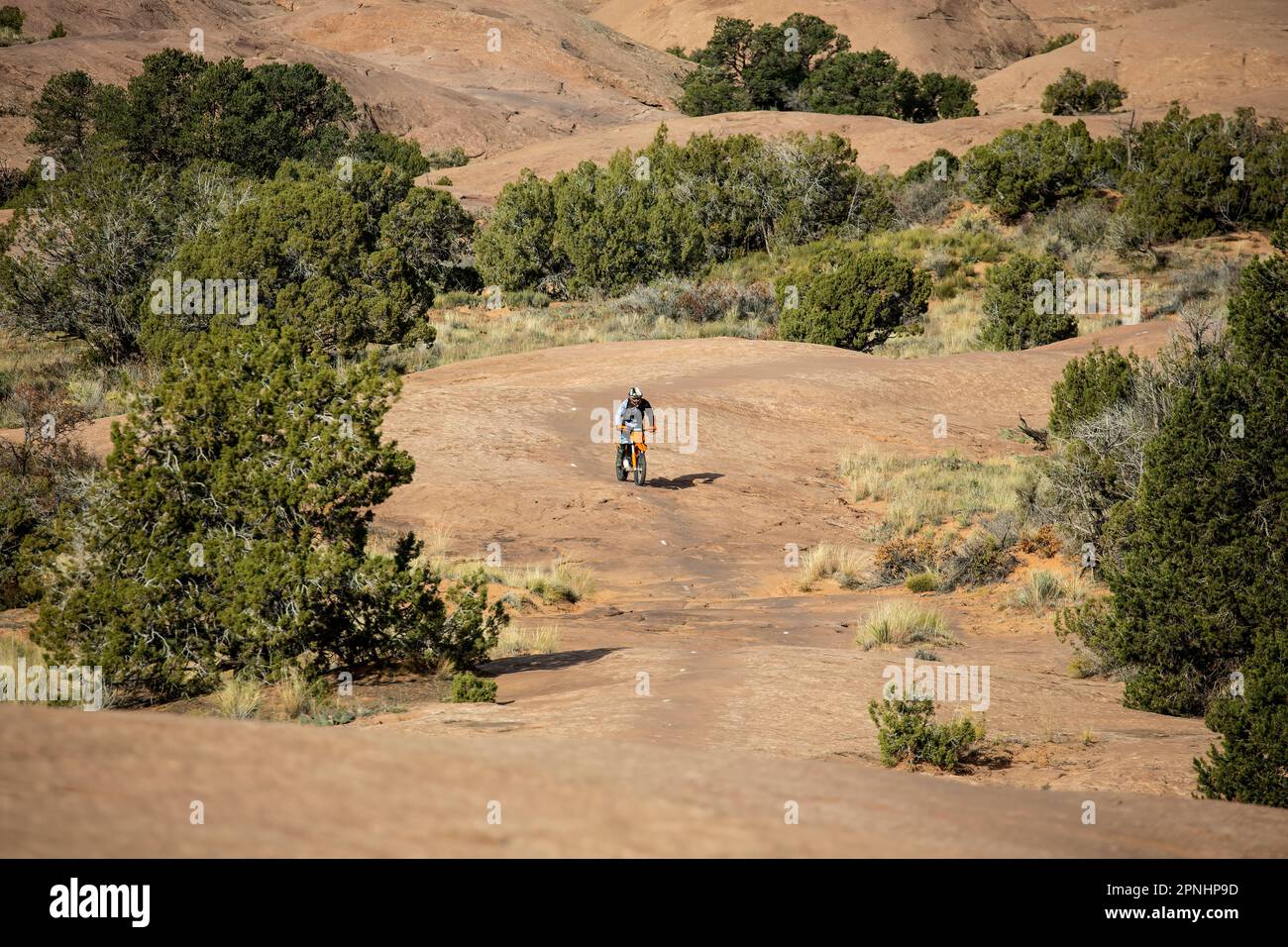 Motocross rider, Slickrock Trail, Sand Flats Recreation Area, Moab ...
