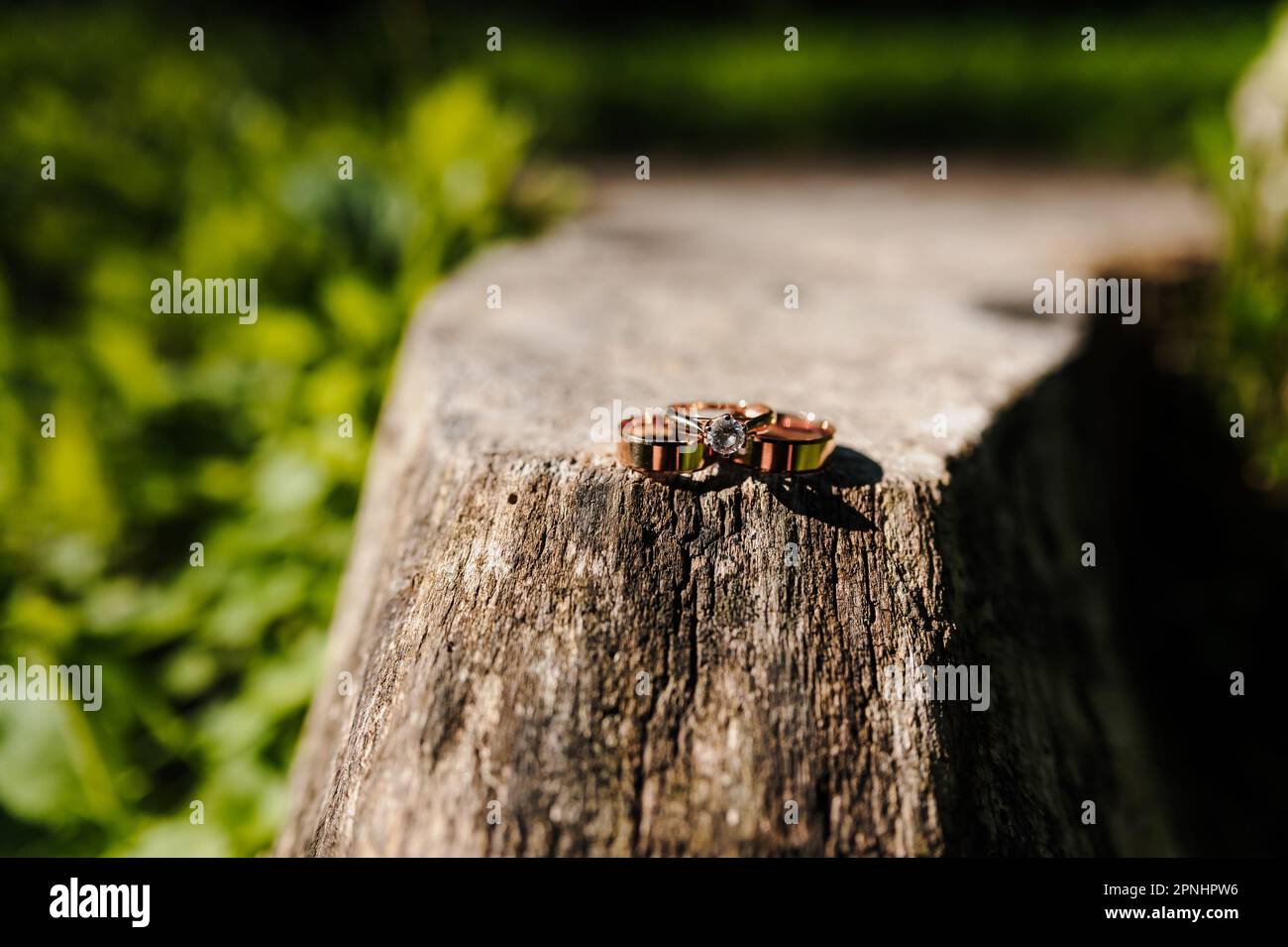 Two golden wedding rings on a stump Stock Photo - Alamy