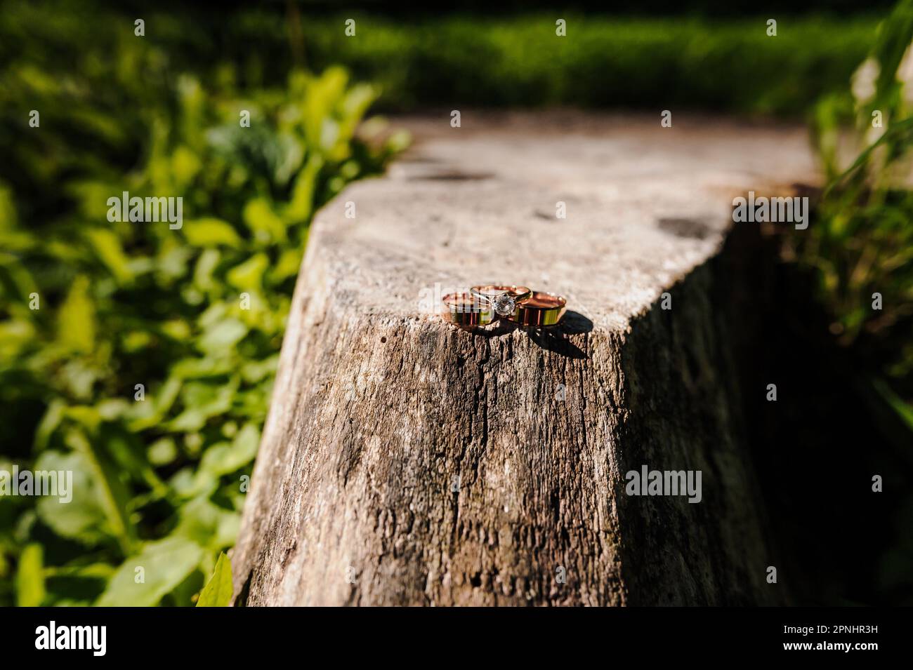 Two golden wedding rings on a stump Stock Photo - Alamy