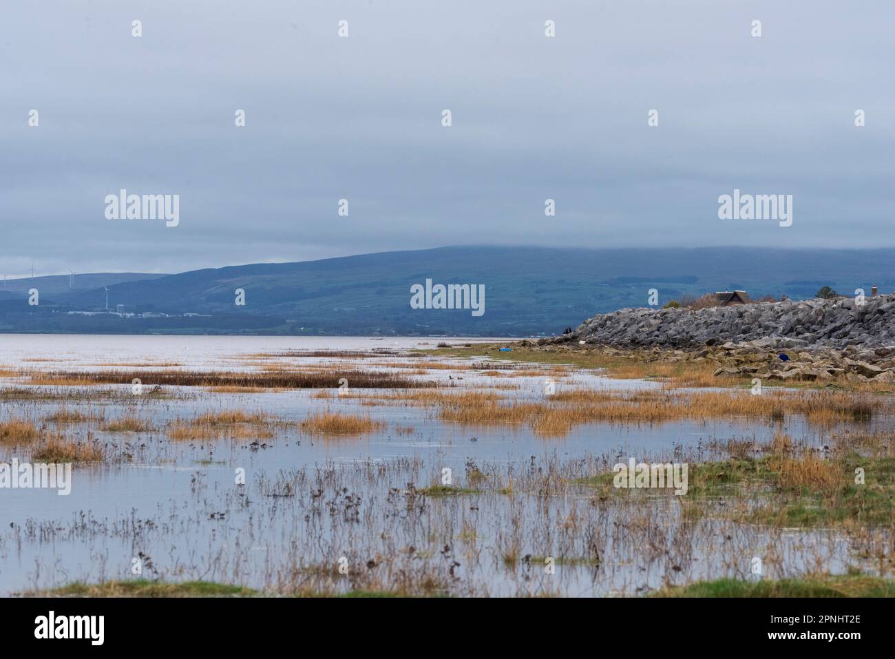 View over salt marsh at high tide, Morecambe Bay Stock Photo - Alamy