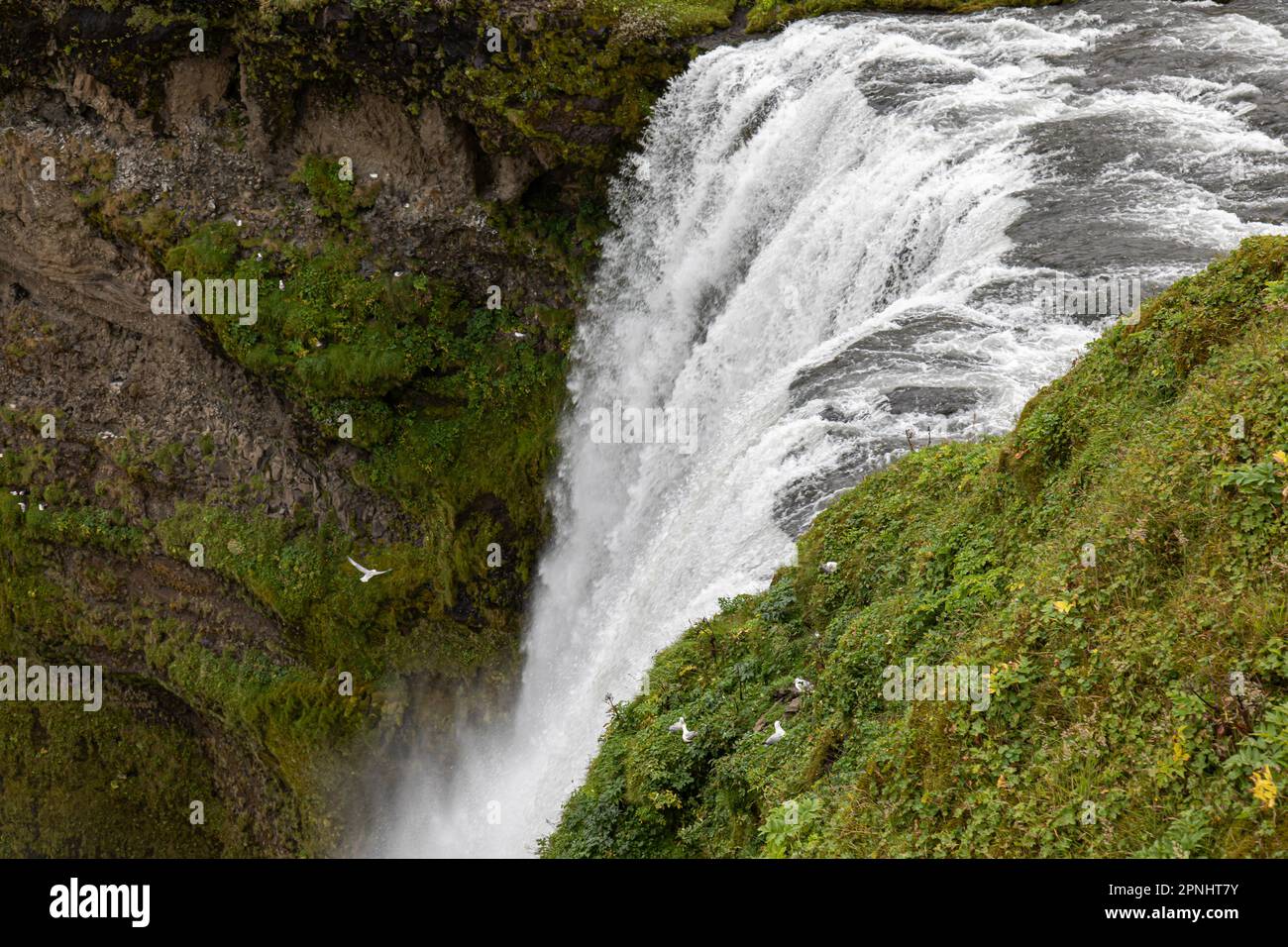 Foss background hi-res stock photography and images - Alamy