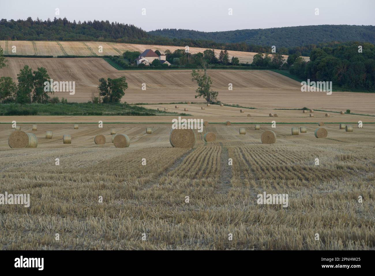A scenic view of a grassy open field with several round bales of hay ...