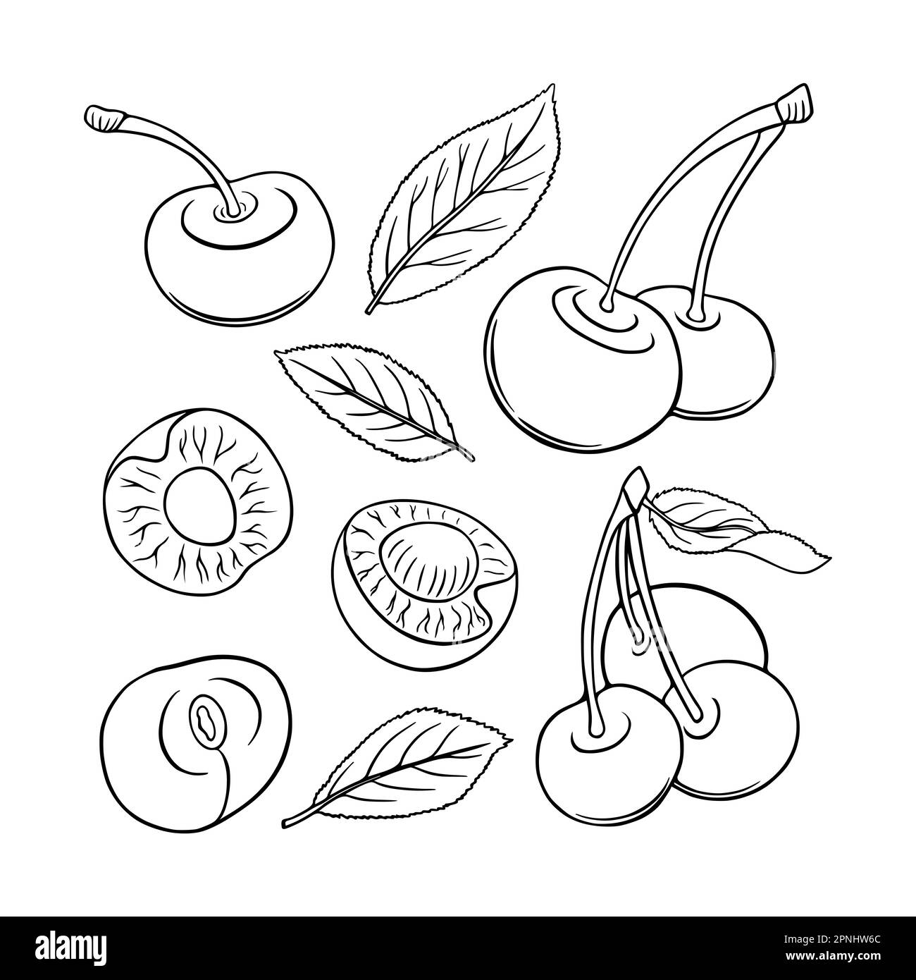 Hand drawn cherry collection isolated on white background. Vector ...