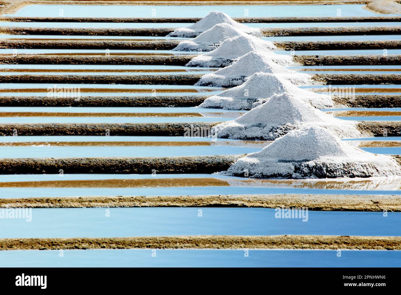 Salt pans in the Guérande Salt Gardens, Brittany, France Stock Photo ...