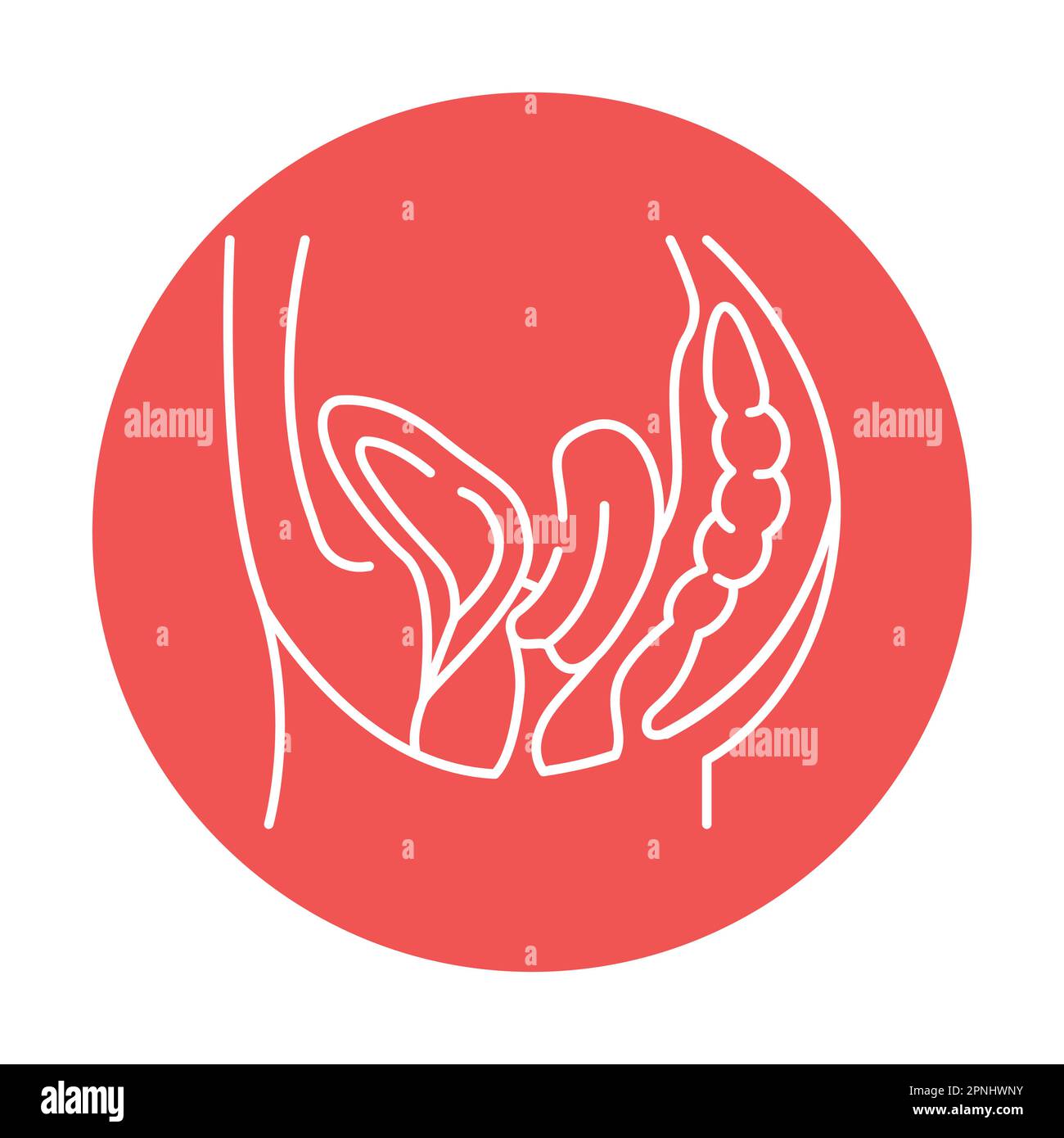 Organ Prolapse Color Line Icon Human Diseases Pictogram For Web Page Mobile App Promo Stock