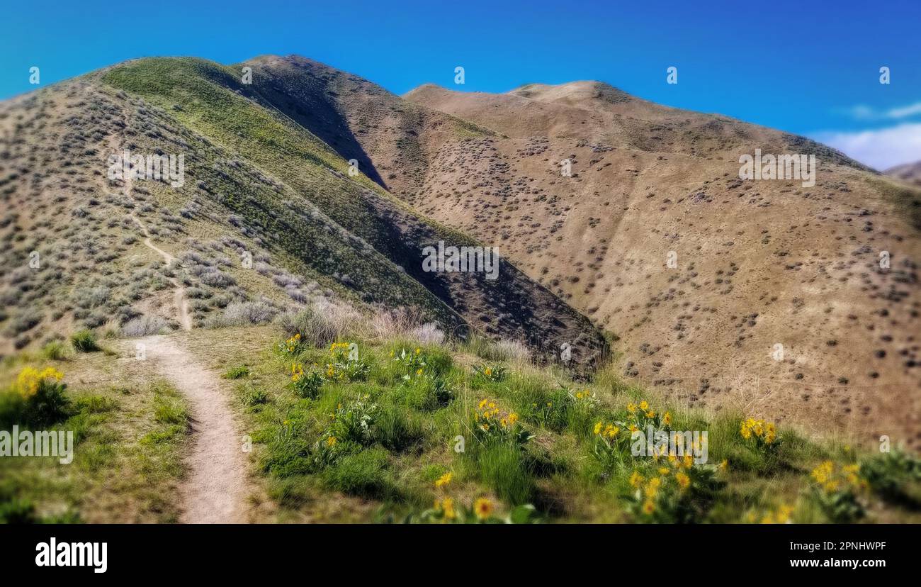 A picturesque view of a winding mountain path leading through a rugged ...