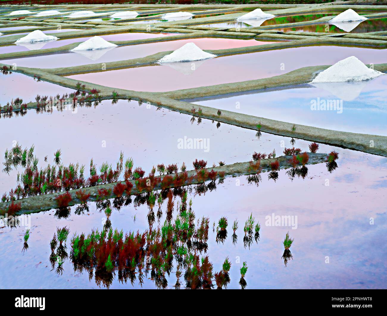 Salt pans in the Guérande Salt Gardens, Brittany, France Stock Photo ...