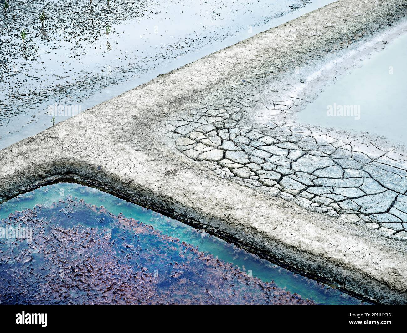 Salt pans in the Guérande Salt Gardens, Brittany, France Stock Photo ...