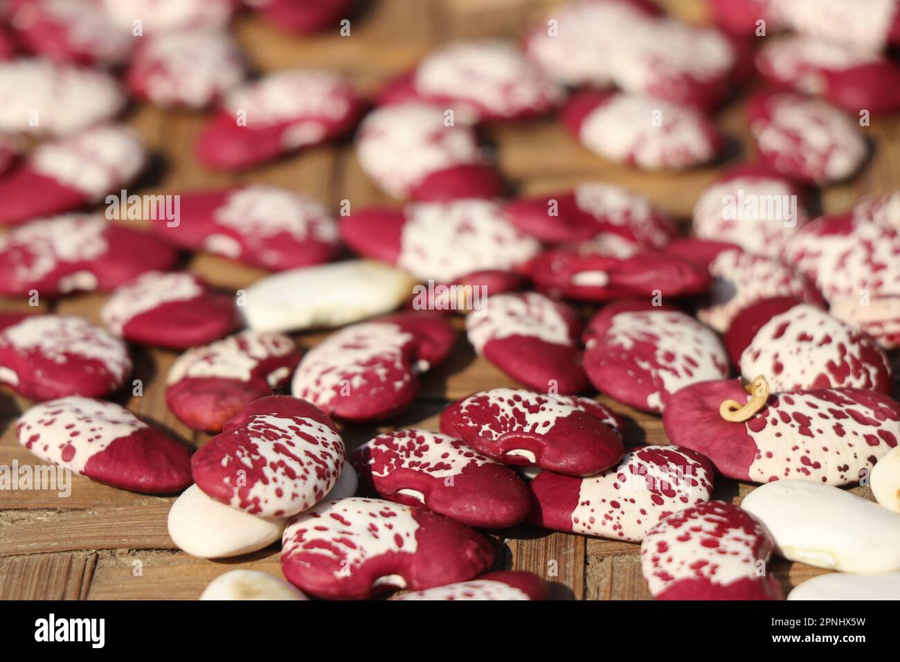Kidney Bean Size
